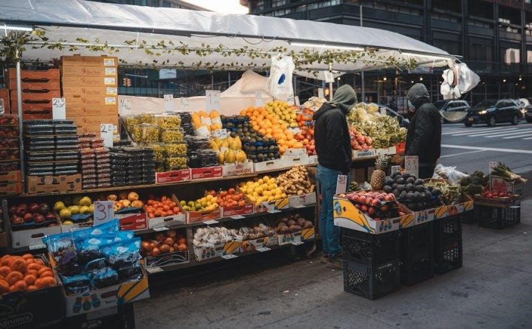 Download Manhattan WMS User Guide PDF - Free Tutorial & Manual